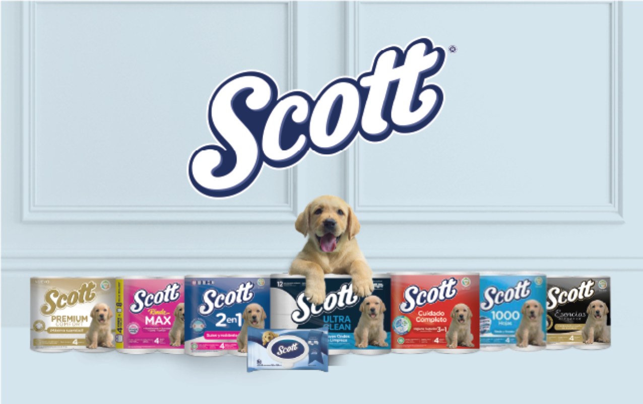 Lo que necesitas para tu hogar | Scott Costa Rica