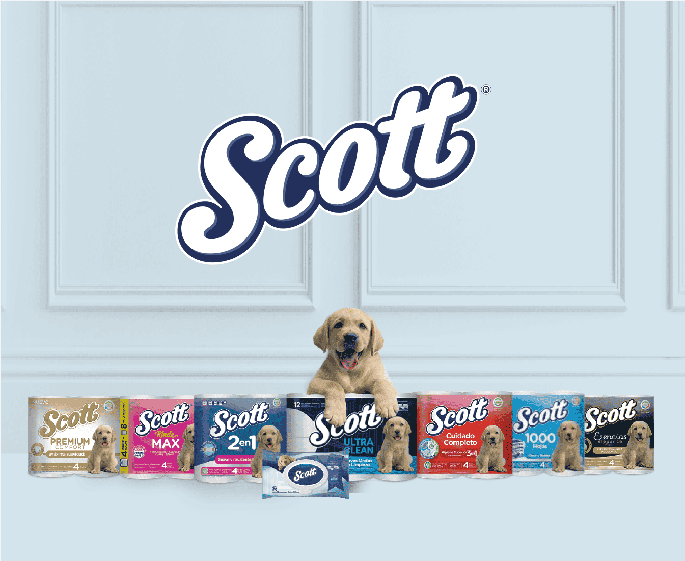 Productos Scott® DO | Papel Higiénico y Hogar